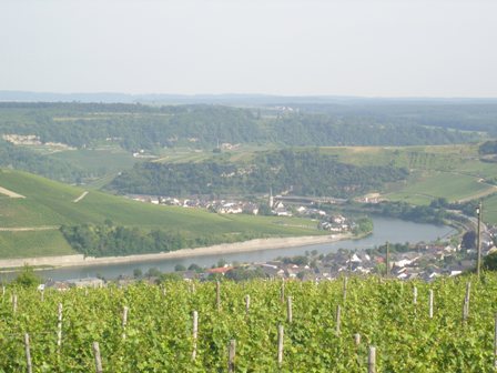 The other Mosel: The wines of Luxembourg | The Man from Mosel River